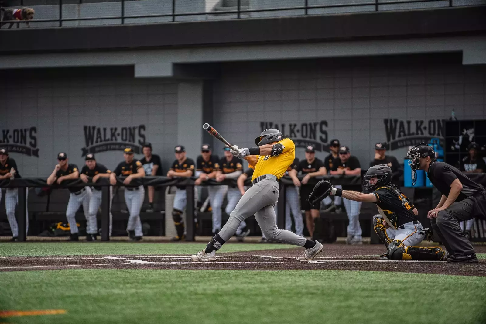 University of Southern Mississippi