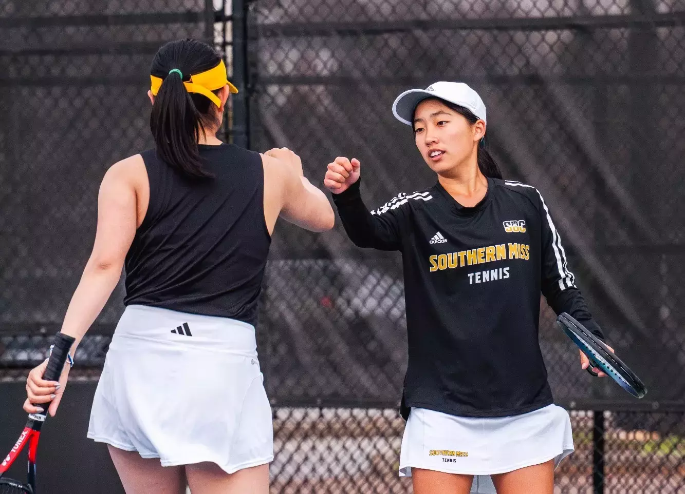 University of Southern Mississippi