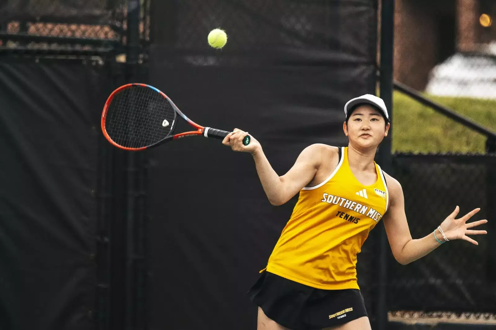 University of Southern Mississippi