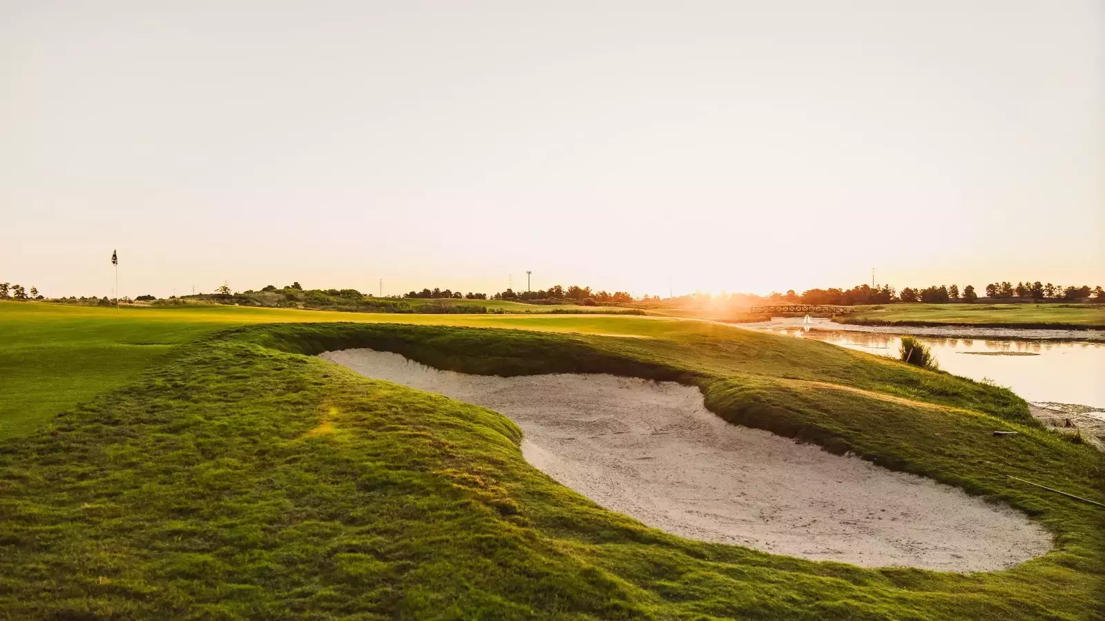 Texas Tech Red Raiders - Official Athletics Website