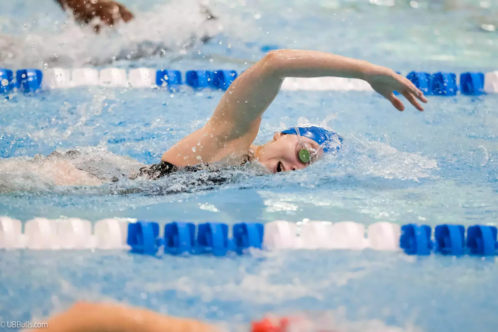 Naccarella Earns MAC Swimmer of the Week Honors - University at Buffalo