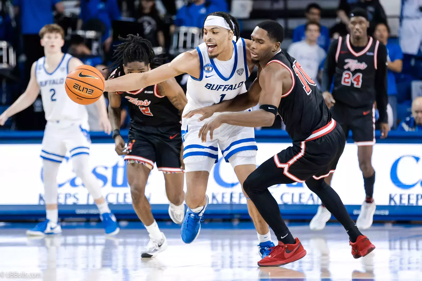 Bulls Fall to the Hilltoppers - University at Buffalo