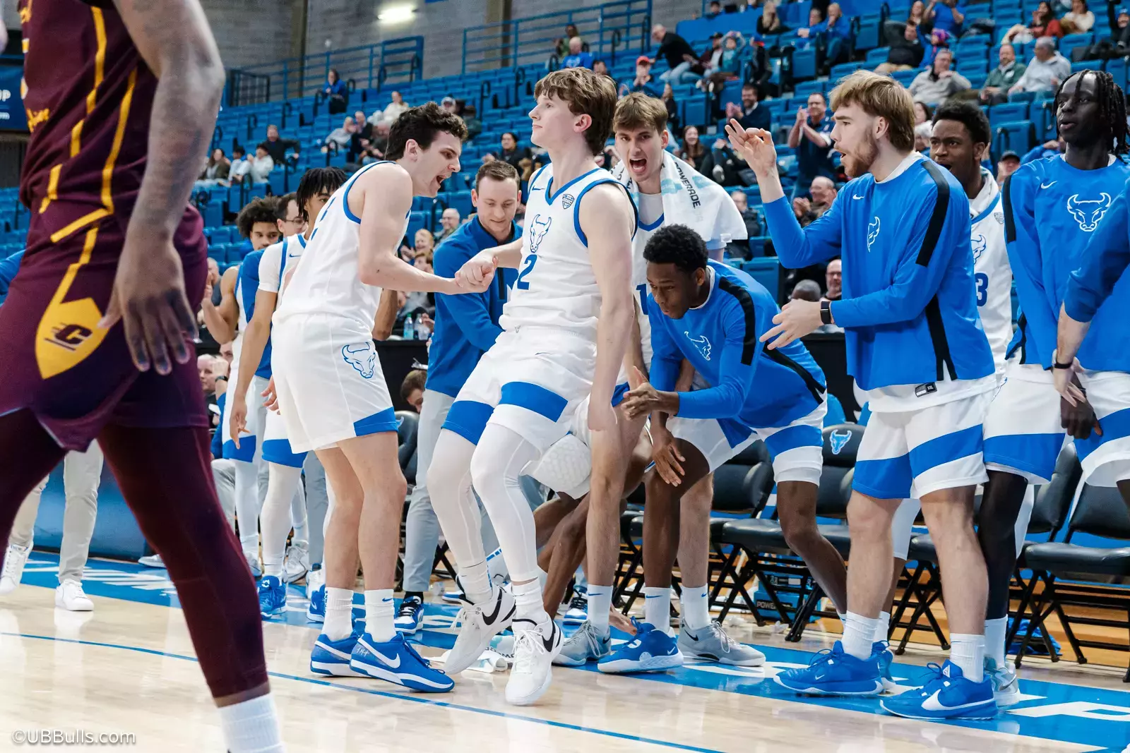 Bulls Chip Away for a Gritty 75-69 Win Over Central Michigan ...