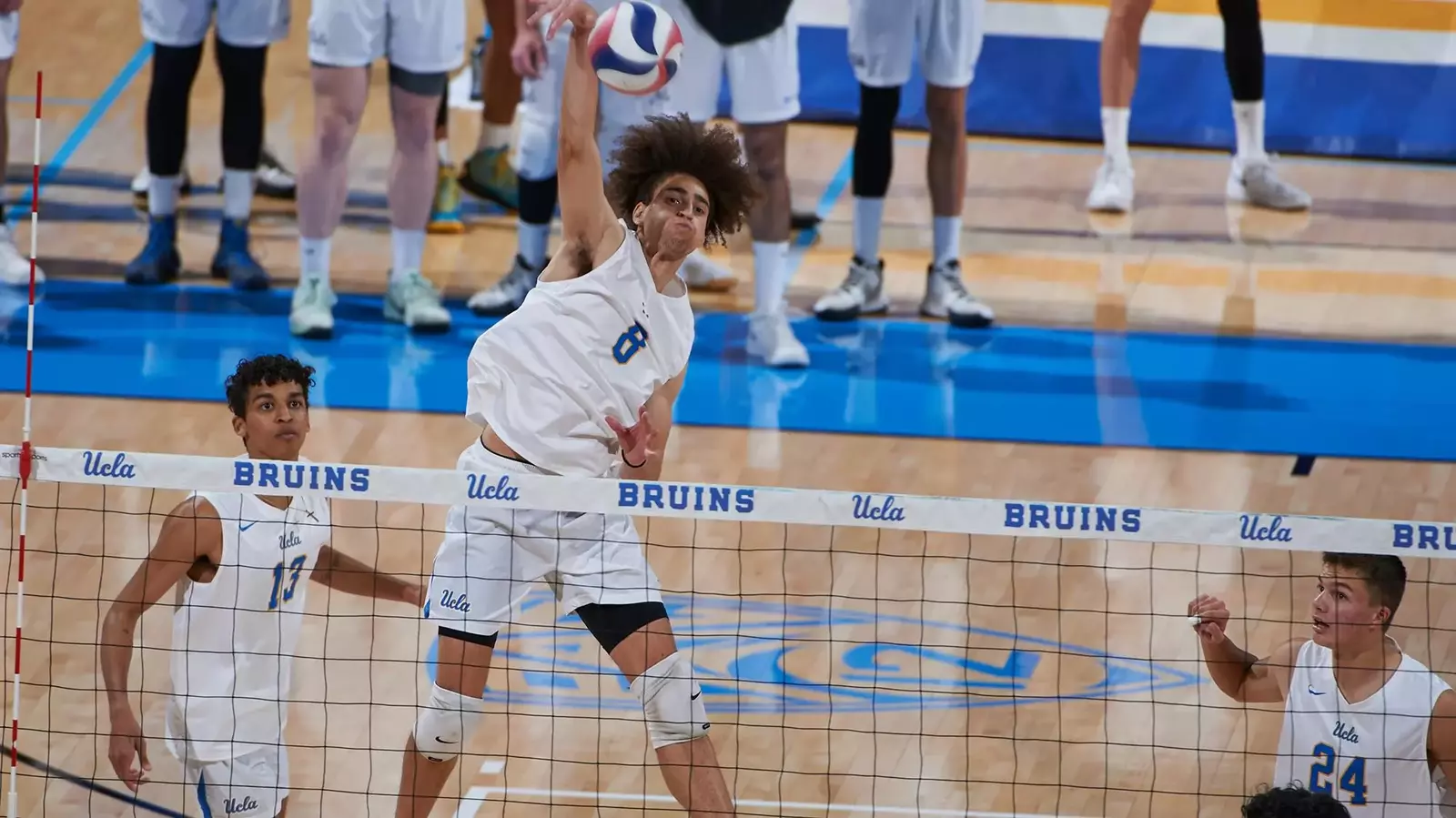UCLA