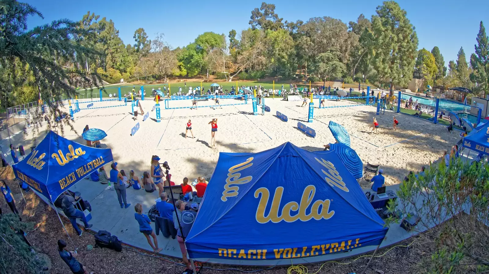 UCLA