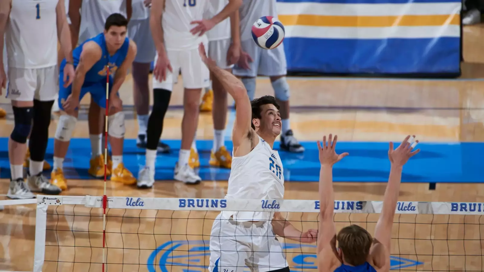 UCLA
