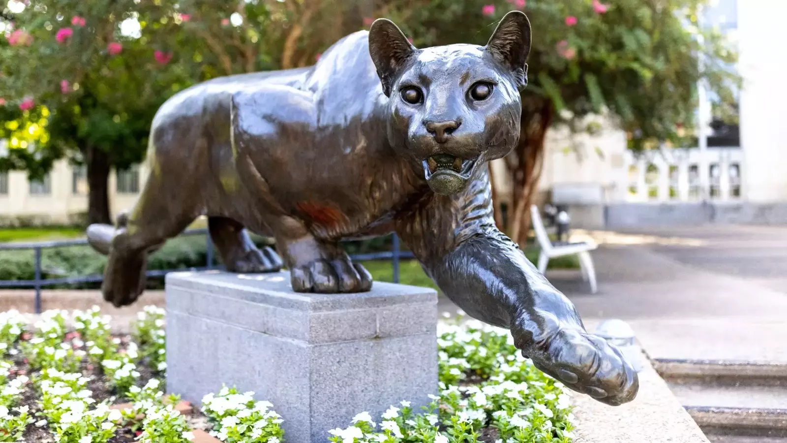 University of Houston Athletics