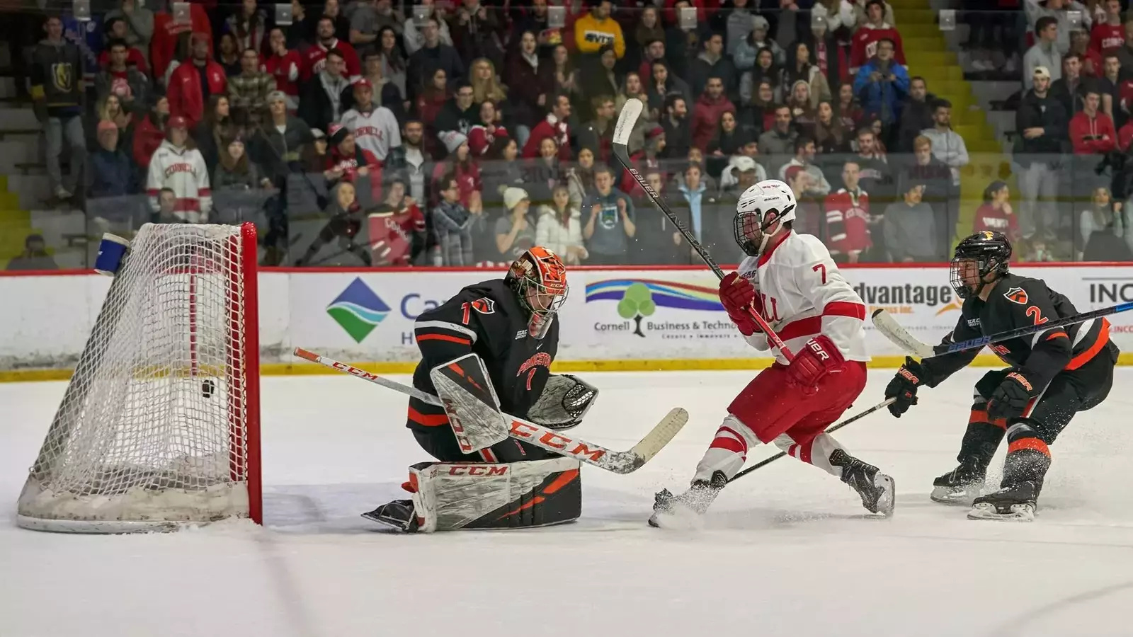 Donaldson Joins Massachusetts Hockey As Graduate Transfer - University ...