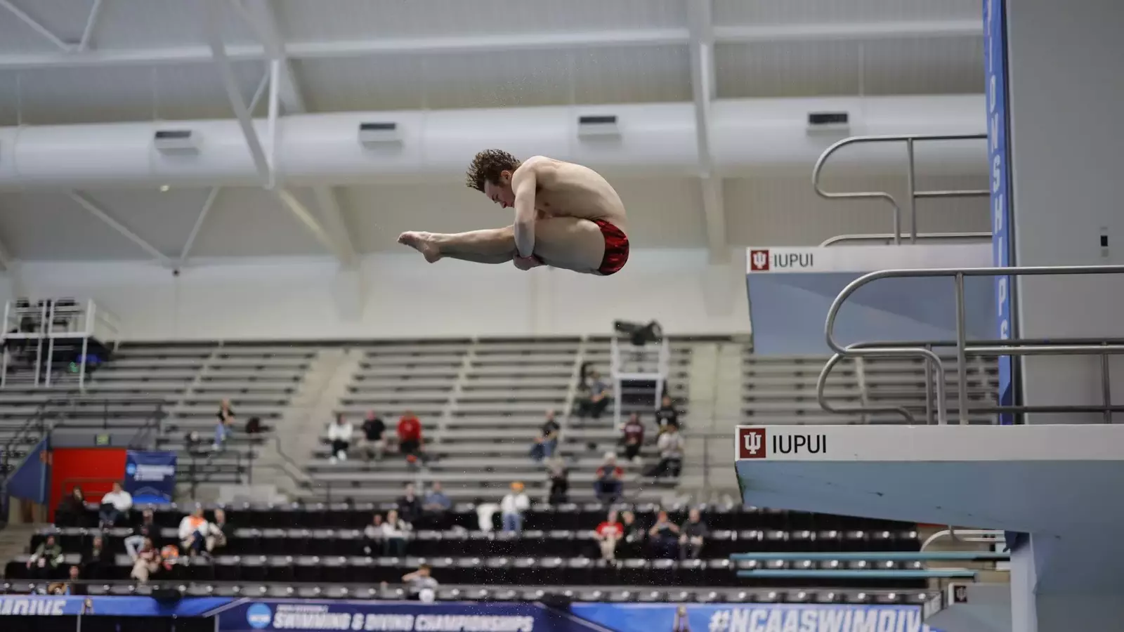 Men’s Diver Bell Earns Academic All-America Status - University of ...