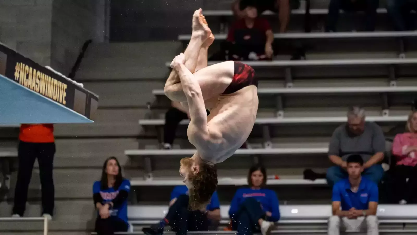 Bell Completes Competition At NCAA Swim & Dive Championships ...