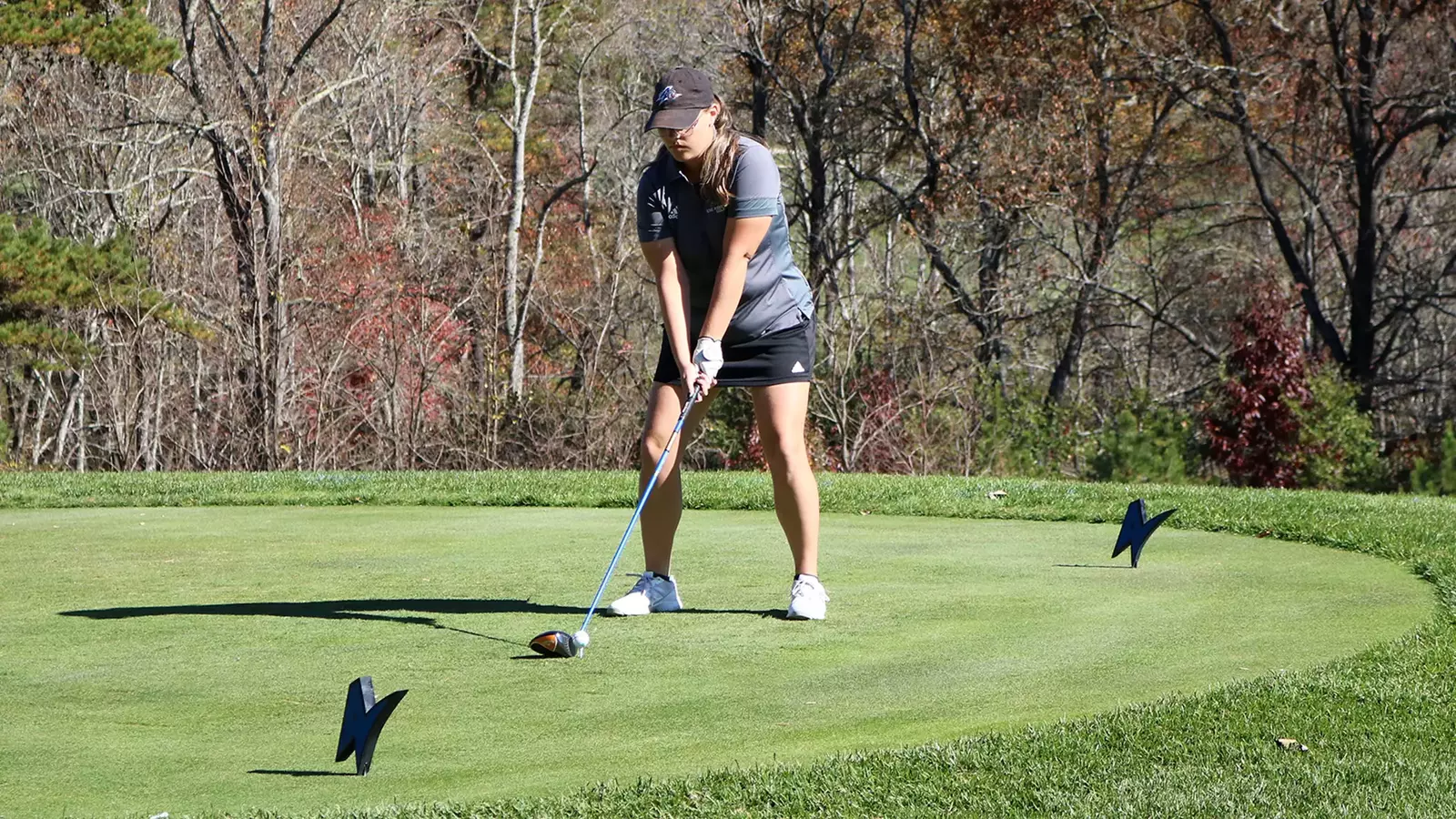 UNC Asheville Athletics - Official Athletics Website