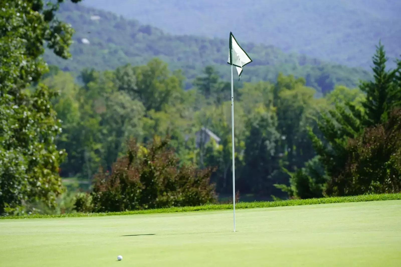 UNC Asheville Athletics - Official Athletics Website