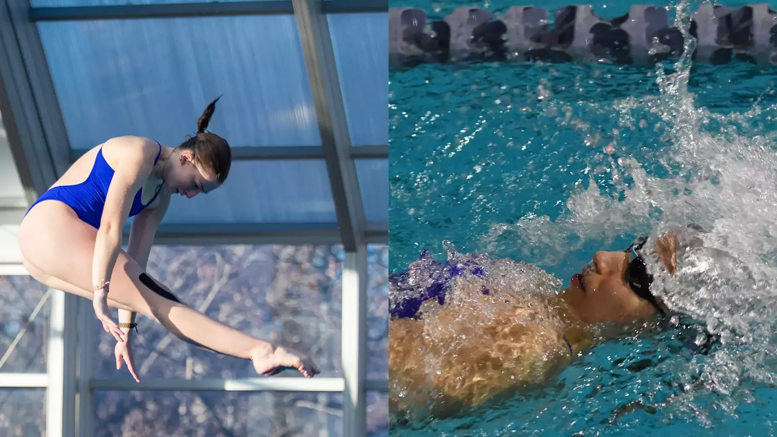 UNC Asheville - Official Athletics Website