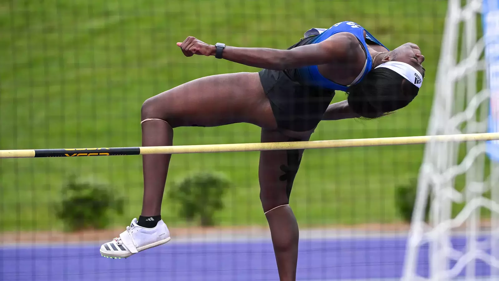 UNC Asheville Athletics - Official Athletics Website