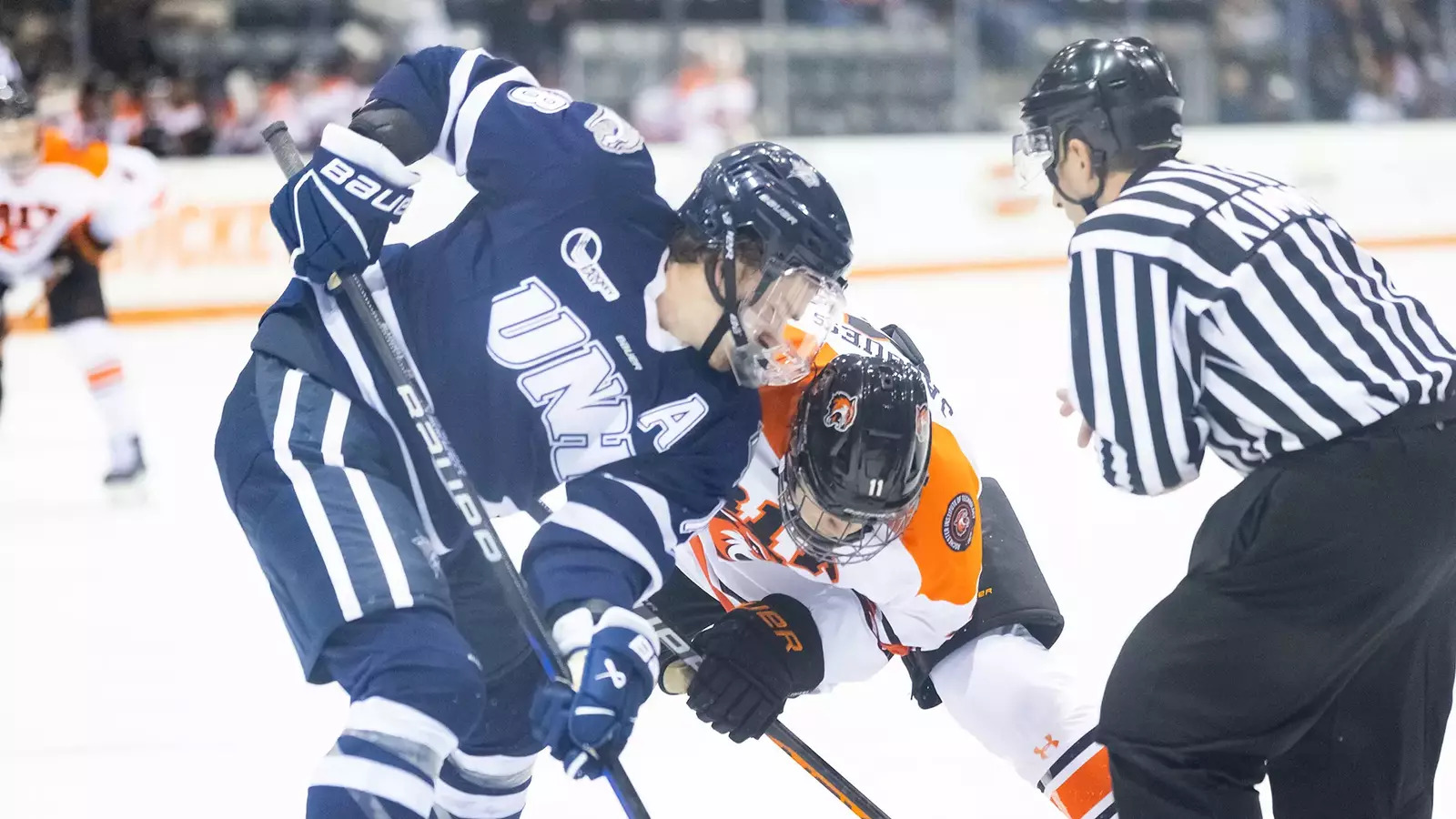 University of New Hampshire