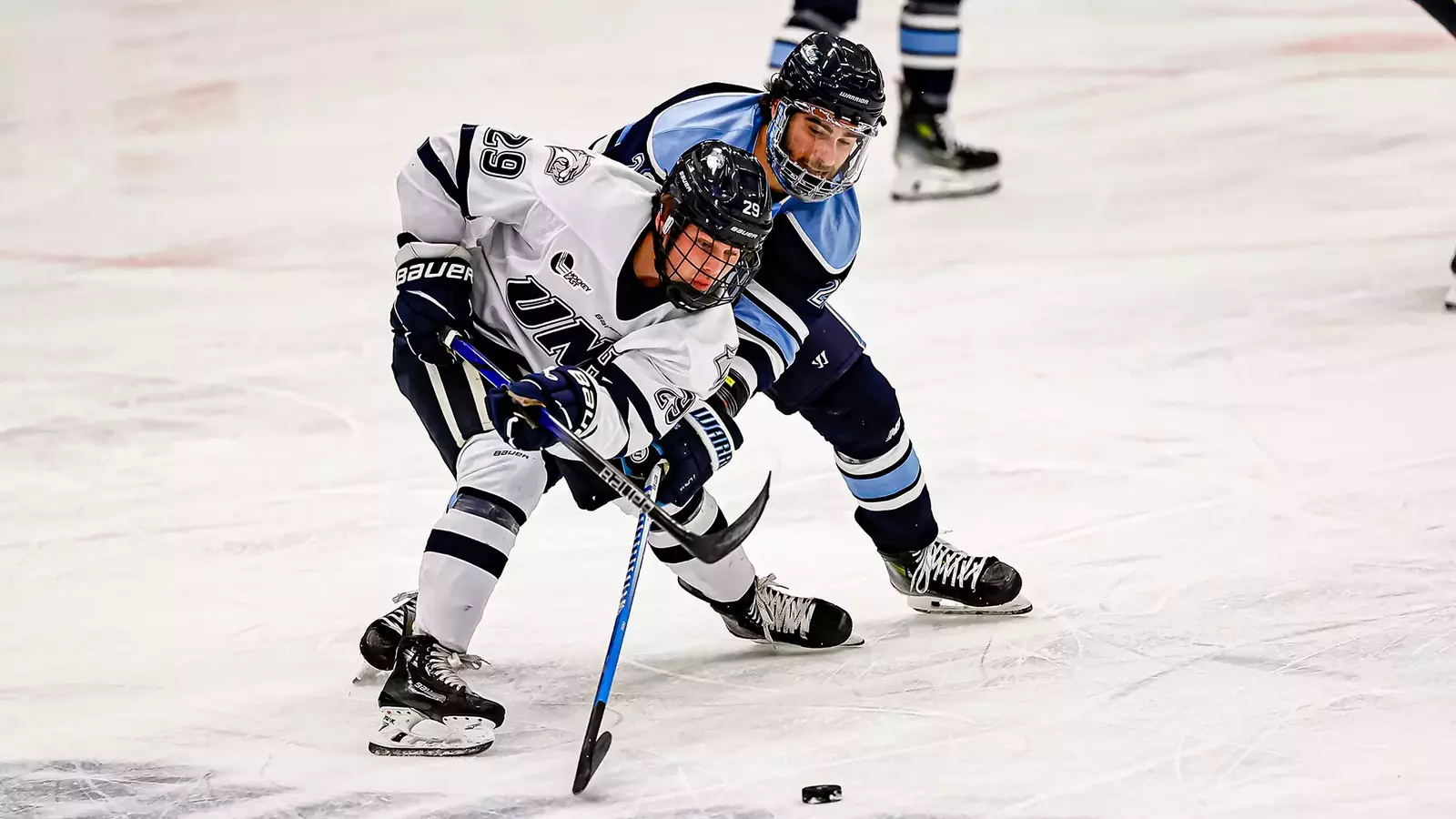 University of New Hampshire