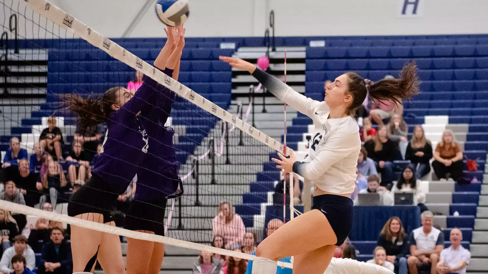 University of New Hampshire