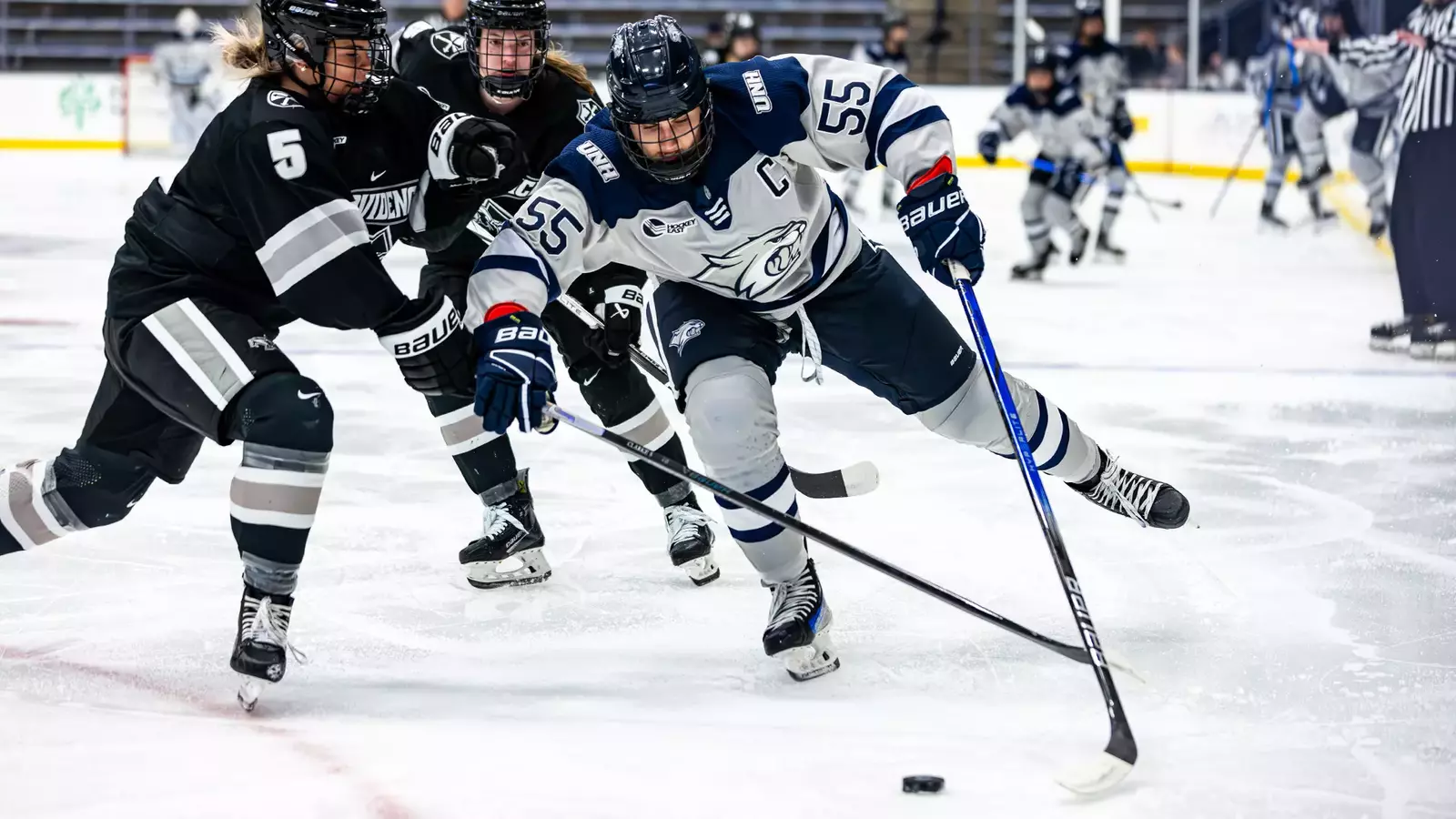 University of New Hampshire