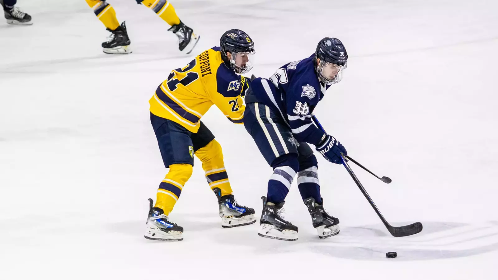 University of New Hampshire