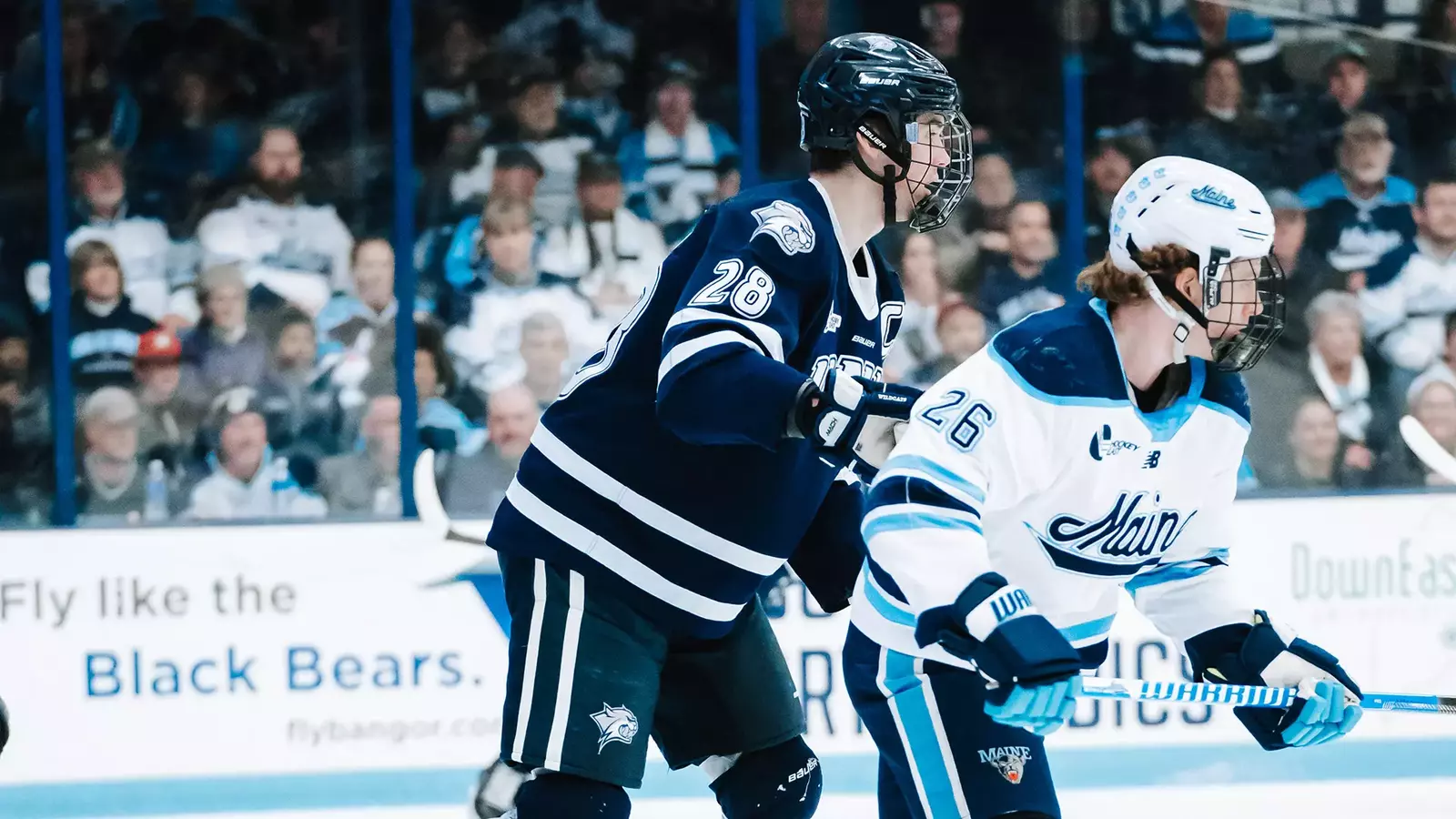 University of New Hampshire