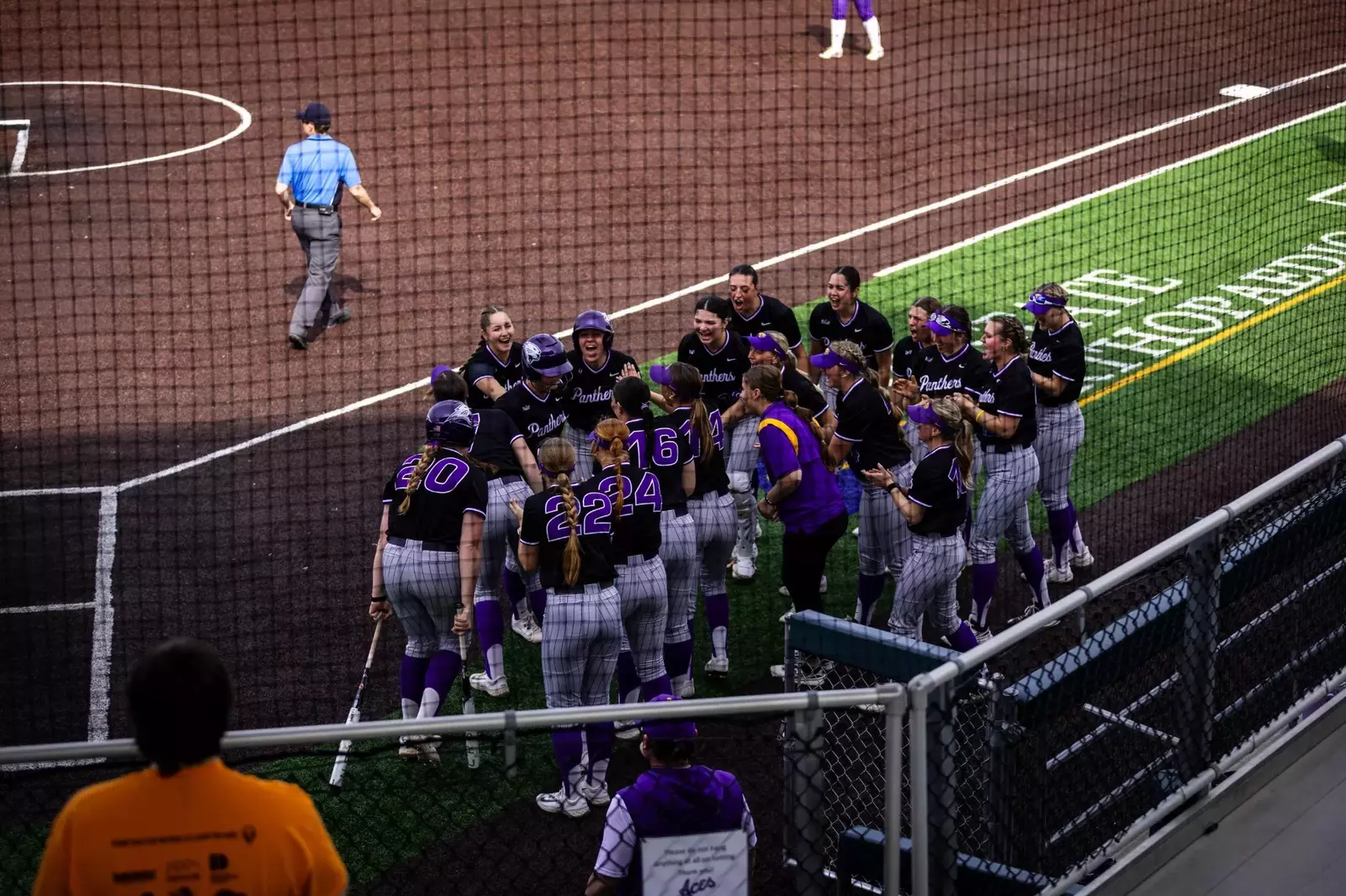 Panther softball looks to stay perfect in MVC play at UIC - BVM Sports