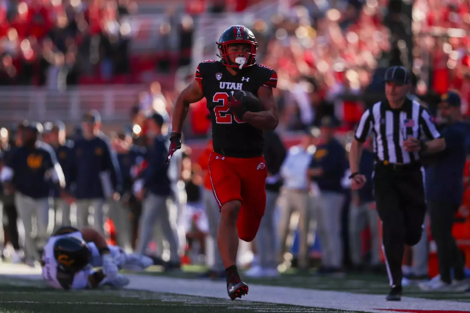 University of Utah Athletics