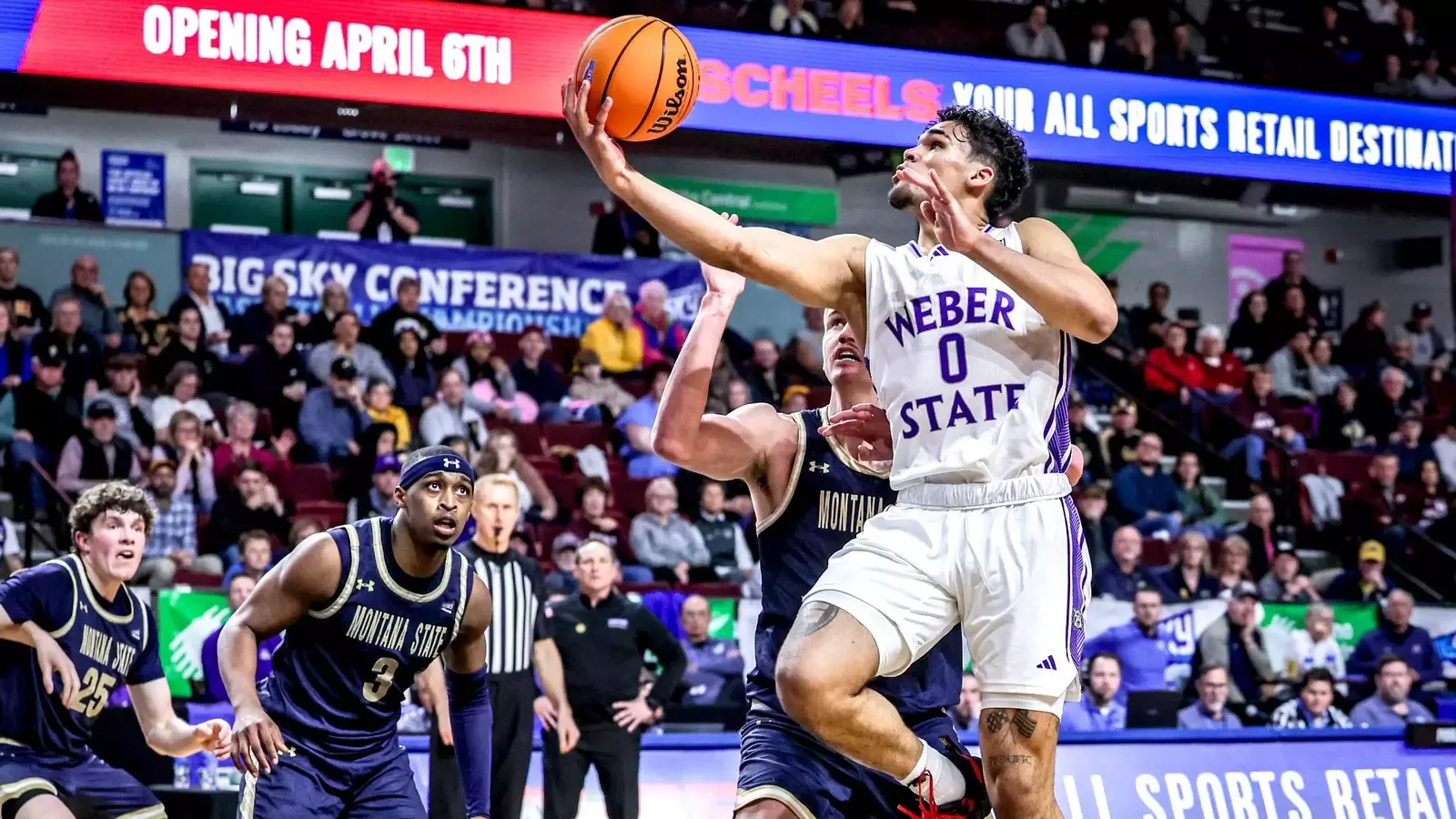 Weber State Athletics